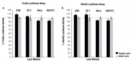 Promega Dual Luciferase®双萤光素酶报告基因检测系统（萤火虫/海肾萤光素酶检测试剂）E1910/E1960价格_品牌:promega-丁香通