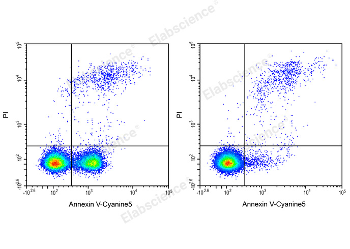 从早期凋亡到坏死，Elabscience Annexin V-Cyanine5 / PI细胞凋亡检测试剂盒助您精准区分每一个细胞状态！