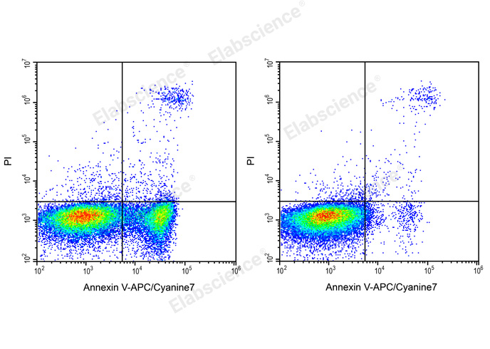 流式凋亡检测新选择！Elabscience Annexin V-APC/Cyanine7/PI 细胞凋亡检测试剂盒——高灵敏度、多色兼容，精准区分凋亡阶段！-公司新闻-武汉伊莱瑞特生物科技股份有限公司