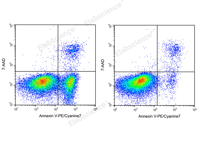 细胞凋亡研究新选择！Elabscience Annexin V-PE/Cyanine7 / 7-AAD细胞凋亡检测试剂盒，精准区分凋亡阶段！