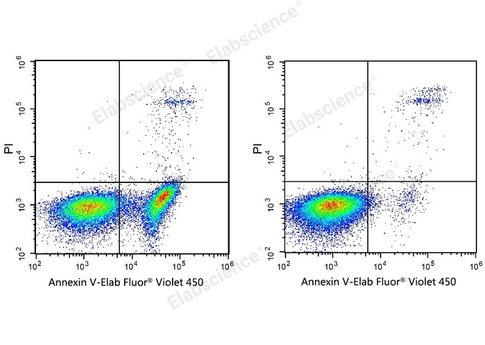 Elabscience Annexin V-Elab Fluor Violet 450/PI细胞凋亡检测试剂盒：高灵敏度双色标记，精准解析凋亡进程-公司新闻-武汉伊莱瑞特生物科技股份有限公司