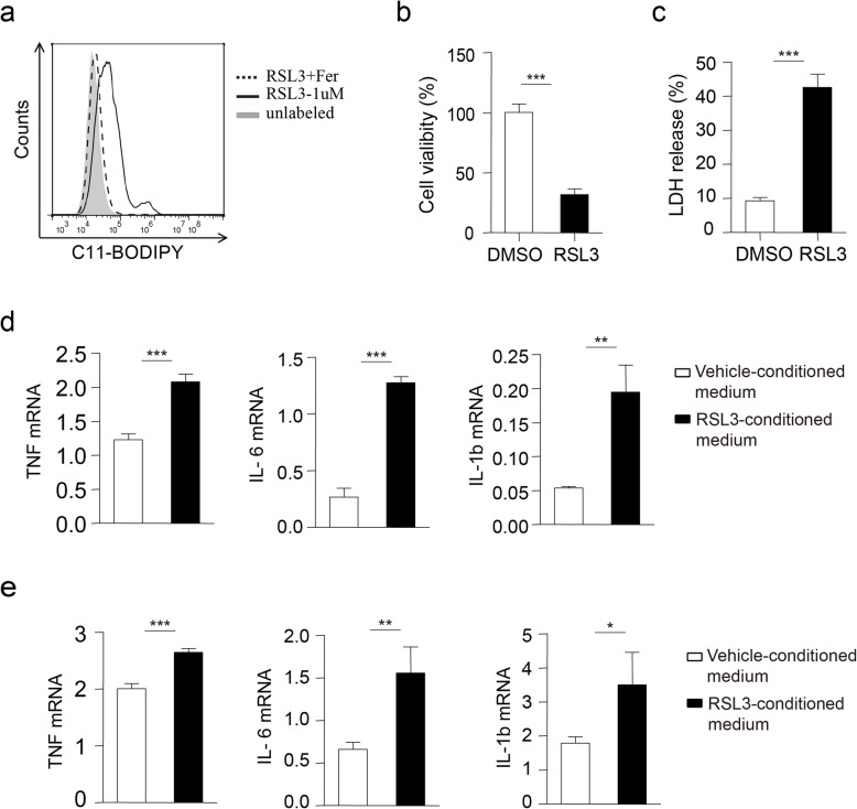 文献解析|RSL3刺激下小胶质细胞和巨噬细胞炎症反应减弱及铁死亡抵抗性增强的机制-公司新闻-上海优宁维生物科技股份有限公司