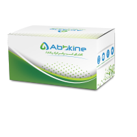 CheKine™ ATP含量检测试剂盒（微量法）价格_品牌:亚科因(Abbkine)-丁香通