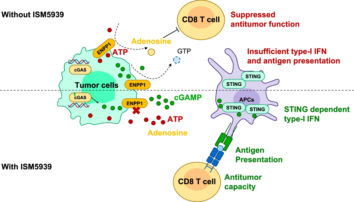 BMG LABTECH多功能酶标仪文献分享20250811-公司新闻-广州进科驰安科技有限公司