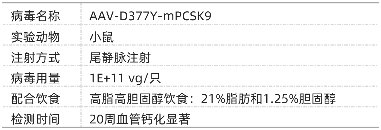 AAV-PCSK9价格-丁香通