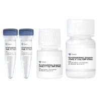 EasyCap T7 Co-transcription Kit with CAG Trimer（DD4203）价格_品牌:诺唯赞（Vazyme ...