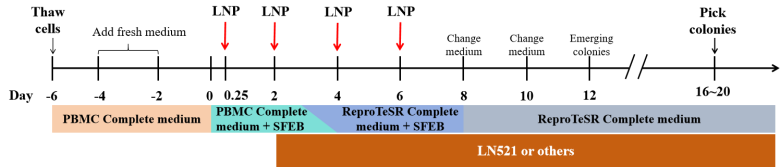 Ubri-Amrita™ iPSC重编程 RNA-LNP试剂盒 Version 2.0价格_品牌:uBriGene-丁香通