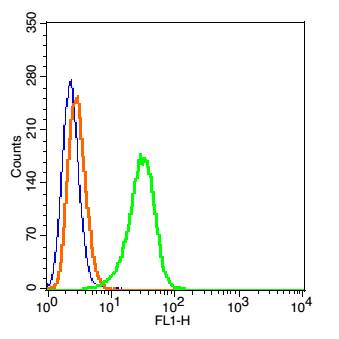 CLEC2 Rabbit pAb(bs-2543R)-50ul/100ul/200ul价格_品牌:Bioss-丁香通