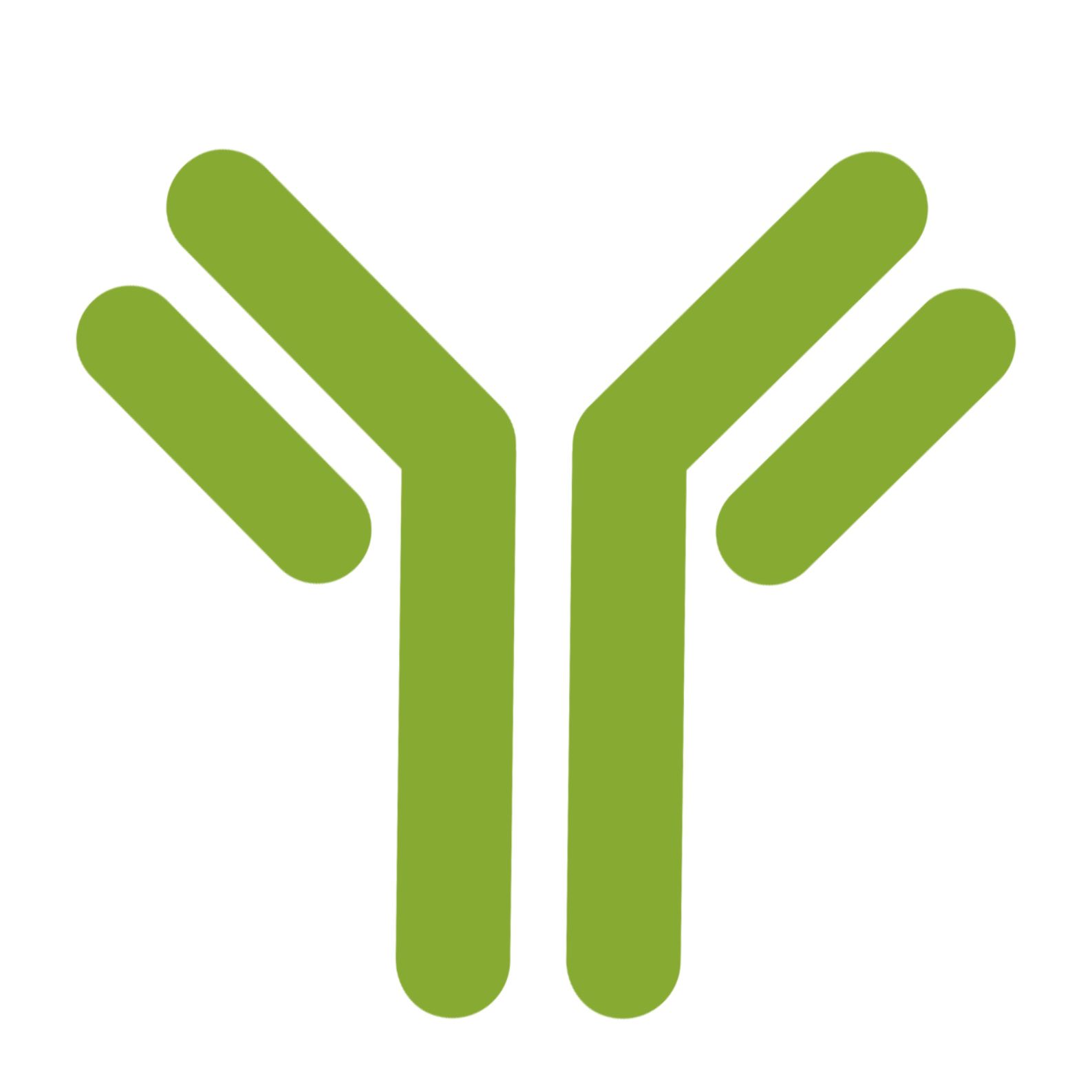 HSPG2/Heparan Sulfate Proteoglycan 2 Rabbit pAb(bs-5072R)-50ul/100ul/200ul价格_品牌:Bioss-丁香通