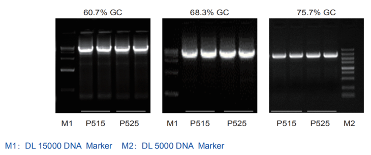 模板兼容性强的新一代高保真DNA聚合酶 2 × Phanta Max Master Mix (Dye Plus)（P525）价格_品牌:诺唯赞 ...