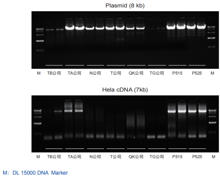 模板兼容性强的新一代高保真DNA聚合酶 2 × Phanta Max Master Mix (Dye Plus)（P525）价格_品牌:诺唯赞 ...