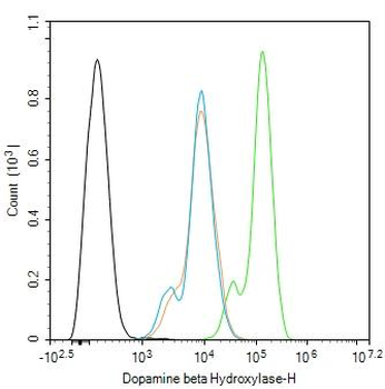 Dopamine beta Hydroxylase Rabbit Polyclonal Antibody抗体，orb10518，biorbyt ...