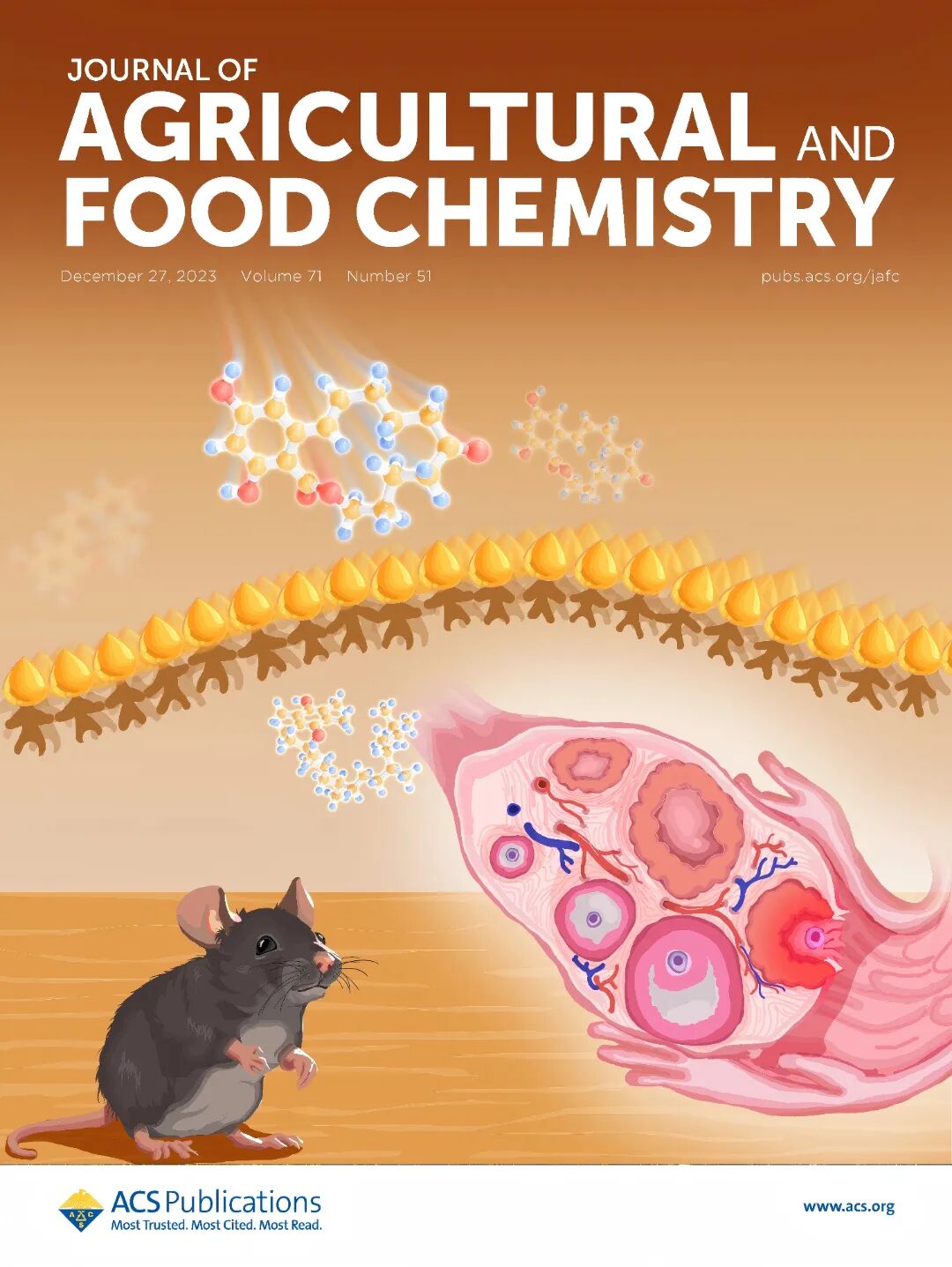 限量送！LetPub 2026科研灵感台历免费领取，手慢无！-公司新闻-美国LetPub SCI论文编辑