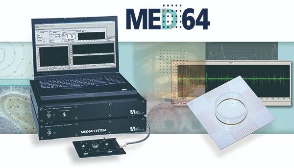 认知缺陷机制研究获突破，MED64助力突触电信号解析 - 企业动态 - 丁香通