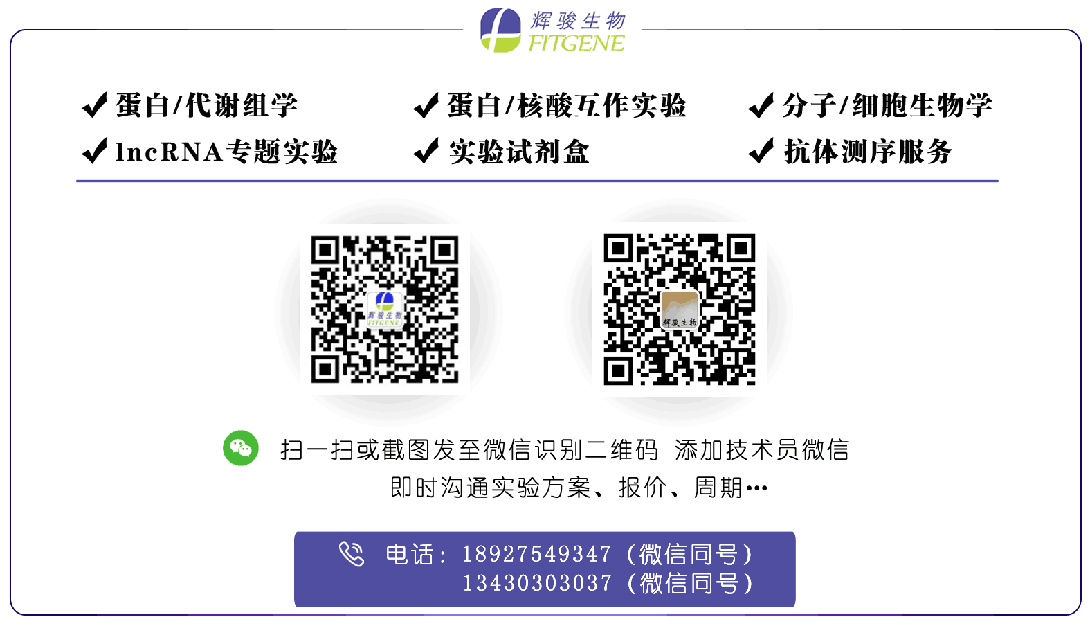 【COIP/IP实验避坑必看】Flag纳米抗体磁珠彻底终结轻重链污染！WB背景干净到离谱-公司新闻-广州辉骏生物科技股份有限公司