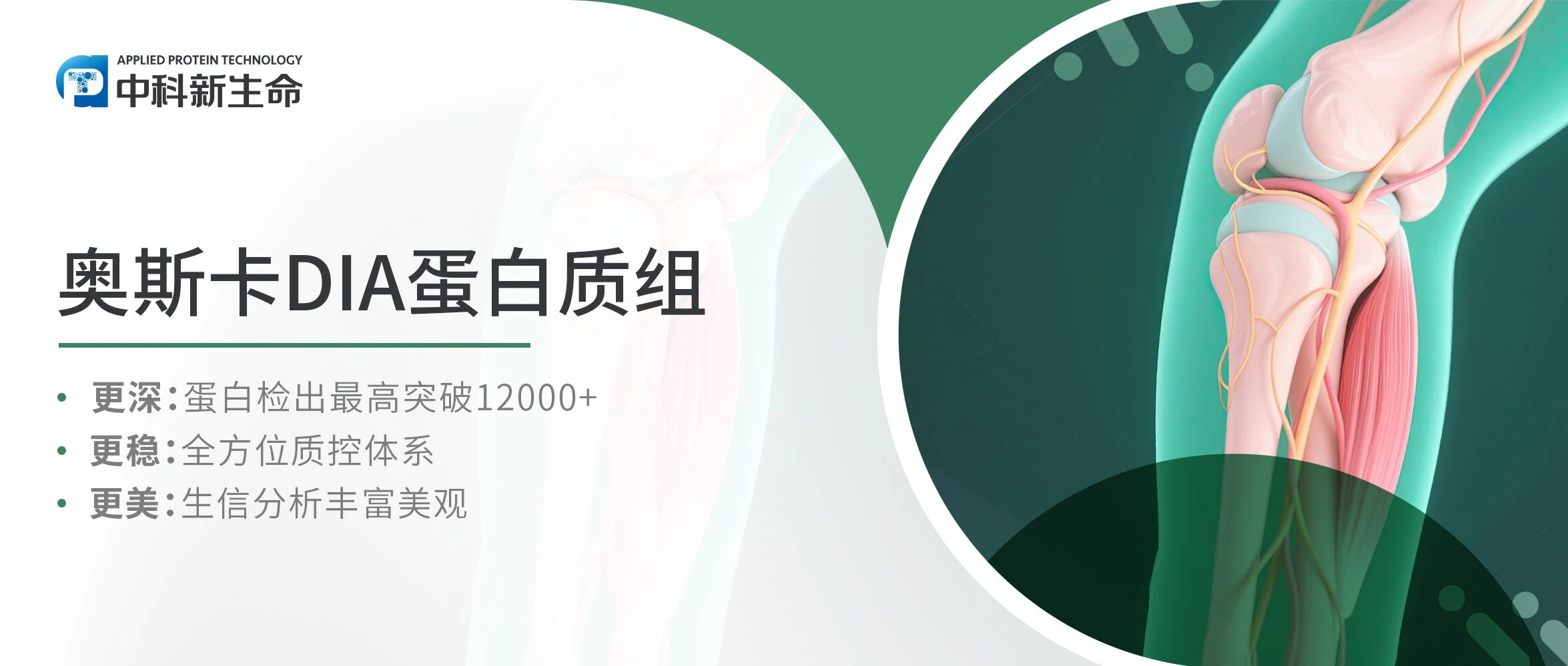 J Cachexia Sarcopenia Muscle项目文章 | 变废为宝！扬州大学包文斌教授团队解析凋亡细胞促骨骼肌发育新机制 - 企业 ...