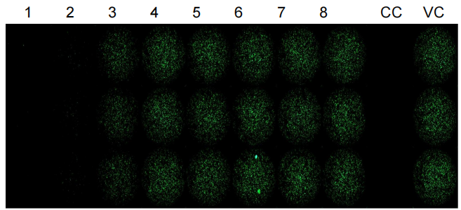 呼吸道病毒威胁加剧：「DIFF CRO」 一站式药效评价助力新药研发 - 企业动态 - 丁香通