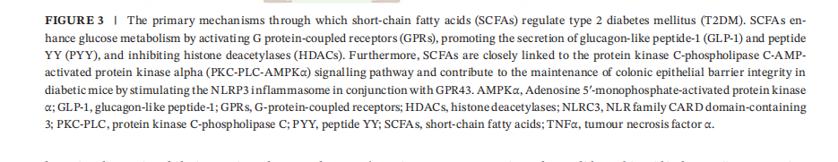 Targeted Therapy for Gut Microbiota: Candidates for a Novel Strategy to ...