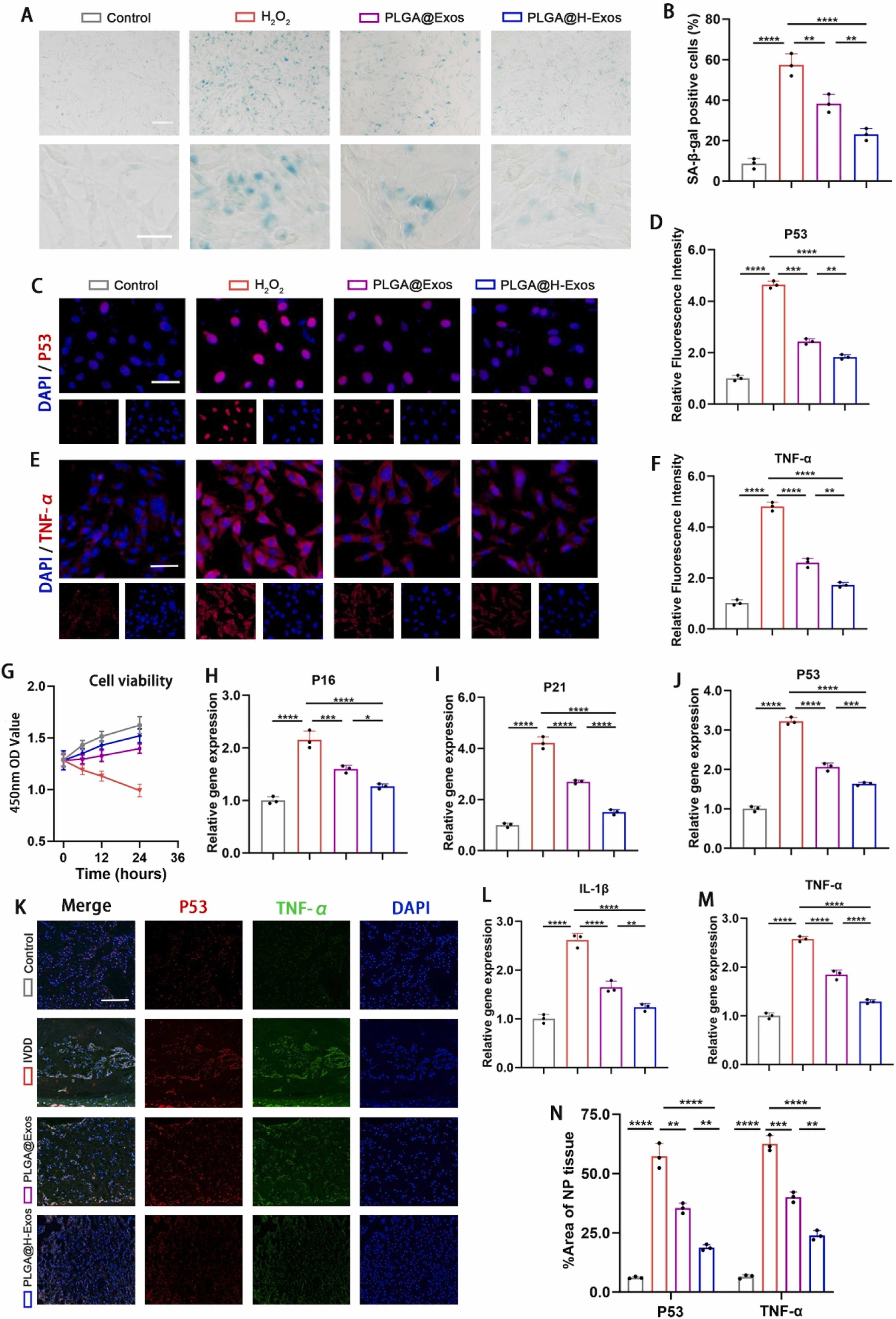 椎间盘退变“终结者”来了？PLGA@H-Exos激活PPAR-γ通路，从机制到动物实验一网打尽！-公司新闻-研载生物科技（上海）有限公司