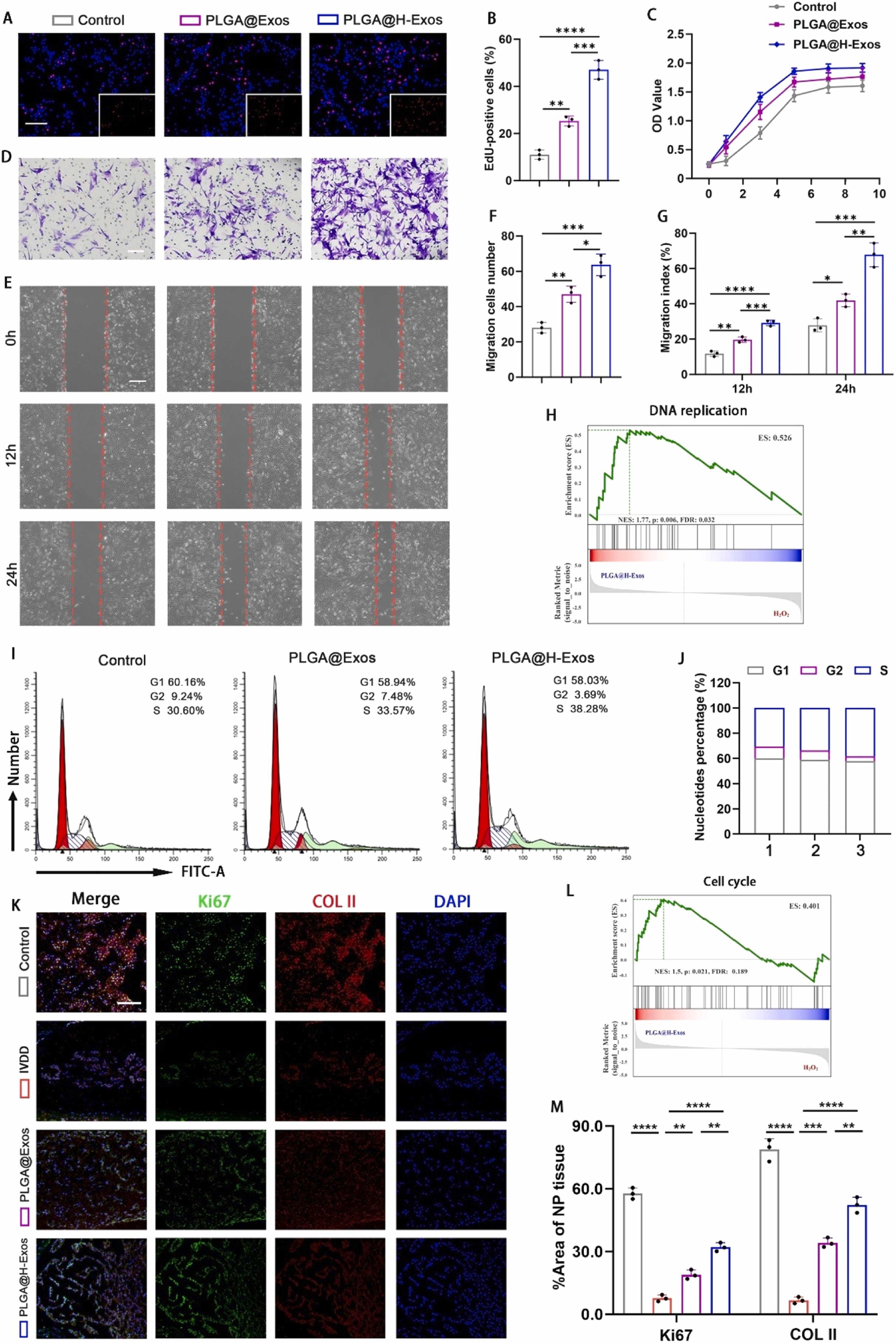 椎间盘退变“终结者”来了？PLGA@H-Exos激活PPAR-γ通路，从机制到动物实验一网打尽！-公司新闻-研载生物科技（上海）有限公司