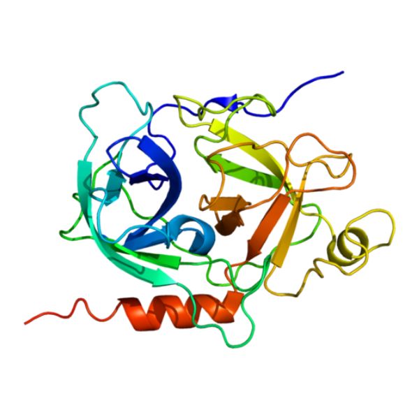 重组小鼠GZMK蛋白 | Recombinant Mouse GZMK, 35-263aa, His-tag价格_品牌:Nebulabio-丁香通