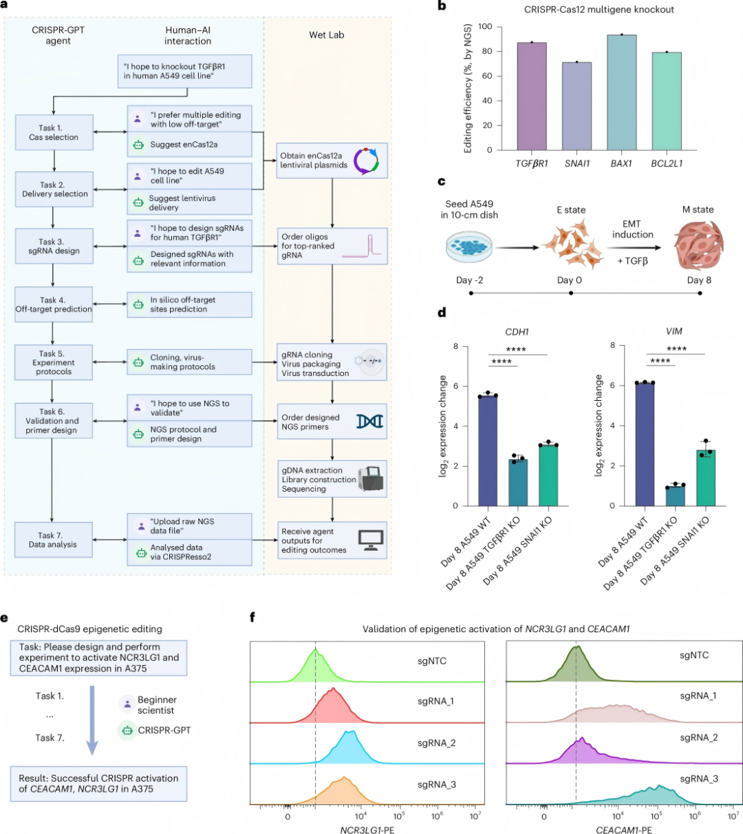 IF 26.6：华人团队开发出 CRISPR-GPT，基因编辑新手也能达到 80% 效率？ - CGT动态 - 丁香通
