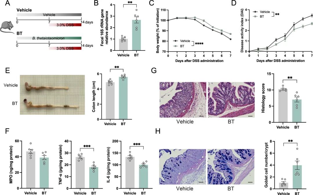 南昌大学聂少平团队发表封面文章 - 文献解读 - 丁香通