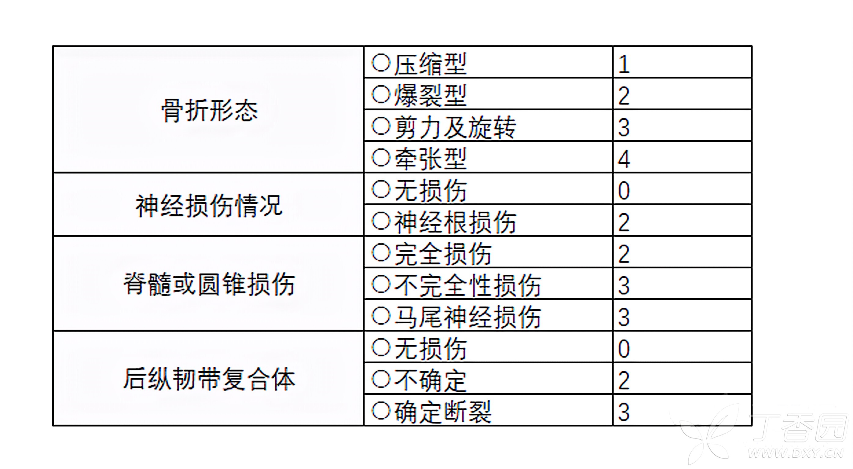 胸腰椎创伤性骨折