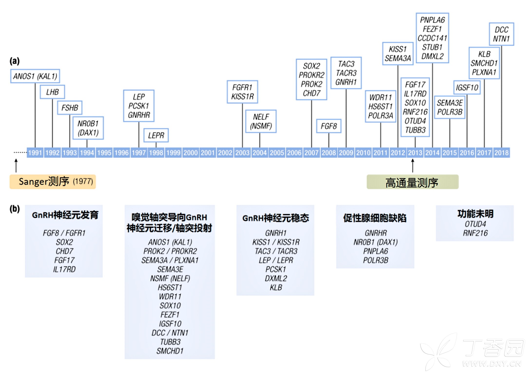 特发性低促性腺激素性性腺功能减退症
