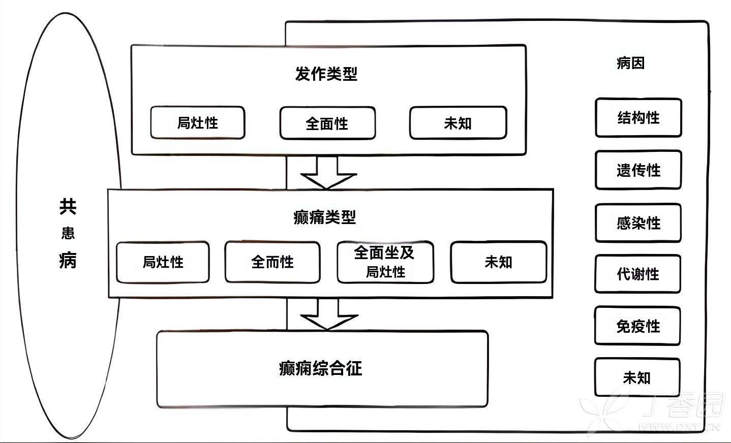 癫痫全面强直-阵挛发作